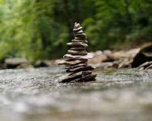 What are the minerals and other natural elements found in spring water ...