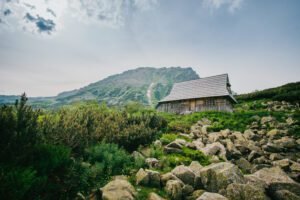 How to create your own spring water at home? - drinkstype.com