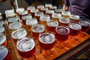 How is Gose beer different from other sour beers? - drinkstype.com