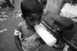 How do pigeons feed their young with milk and what is the feeding ...